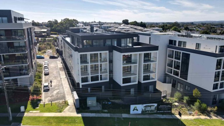 Projects – Pelligra